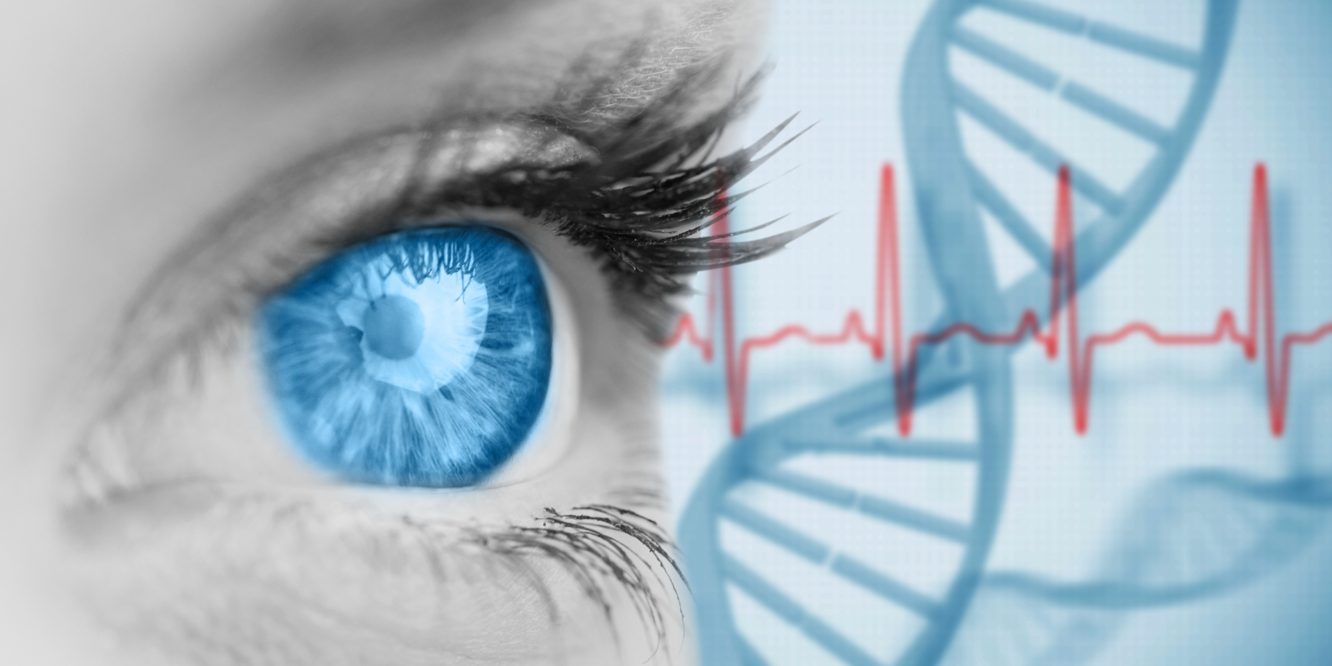 Canal de Schlemm: Anatomía, función y su impacto en la salud ocular | Blog de OftalmoSalud